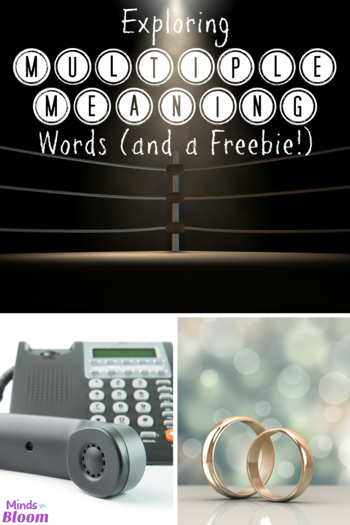 Exploring Multiple Meaning Words - and a Freebie! - Minds in Bloom