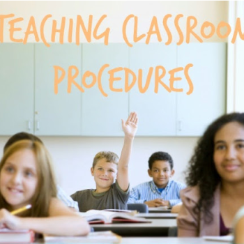 Creating a Comfy Classroom - Minds in Bloom