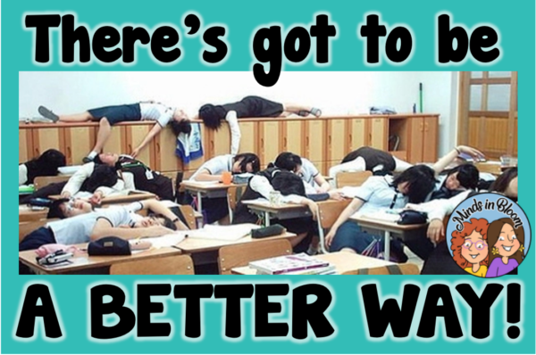 Making the Most Out of Your Benchmark Assessment Data - Minds in Bloom