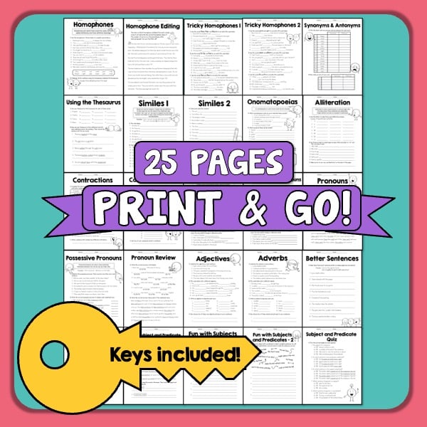 ELA Test Prep or Review - 25 Language Worksheets - Digital with Google ...