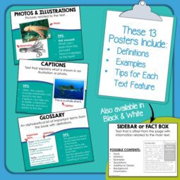 Informational Text Features (Non-Fiction) - Posters & Mini Anchor ...