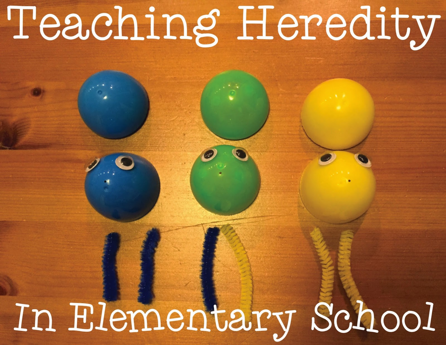 Teaching Heredity and Genetics to Kids in Elementary School - Minds in ...