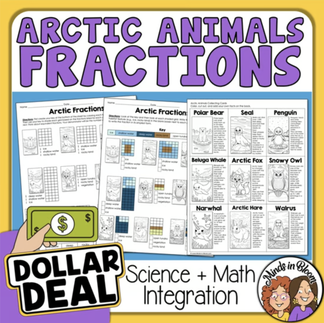 Arctic Animal Math Equivalent Fractions Activity with Fact Cards Artic ...