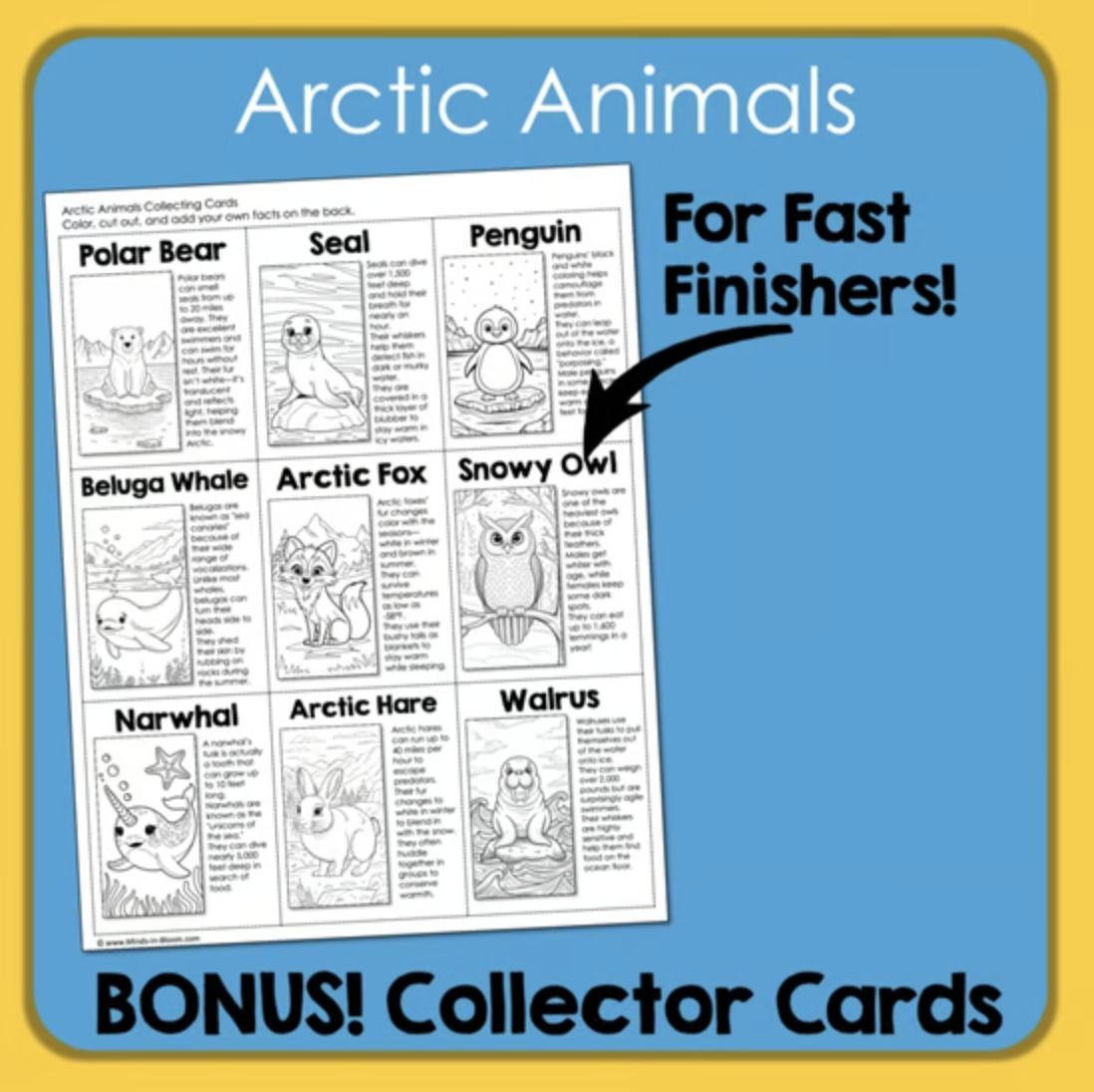 Arctic Animal Math Equivalent Fractions Activity with Fact Cards Artic ...